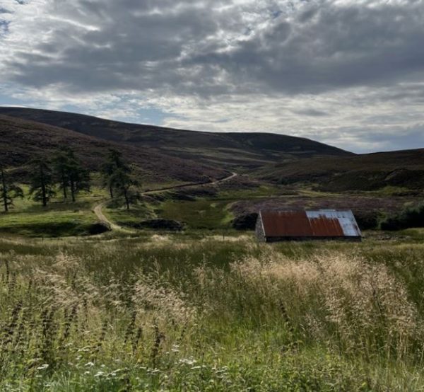 Communities must benefit from Scotland’s changing land use - The ...
